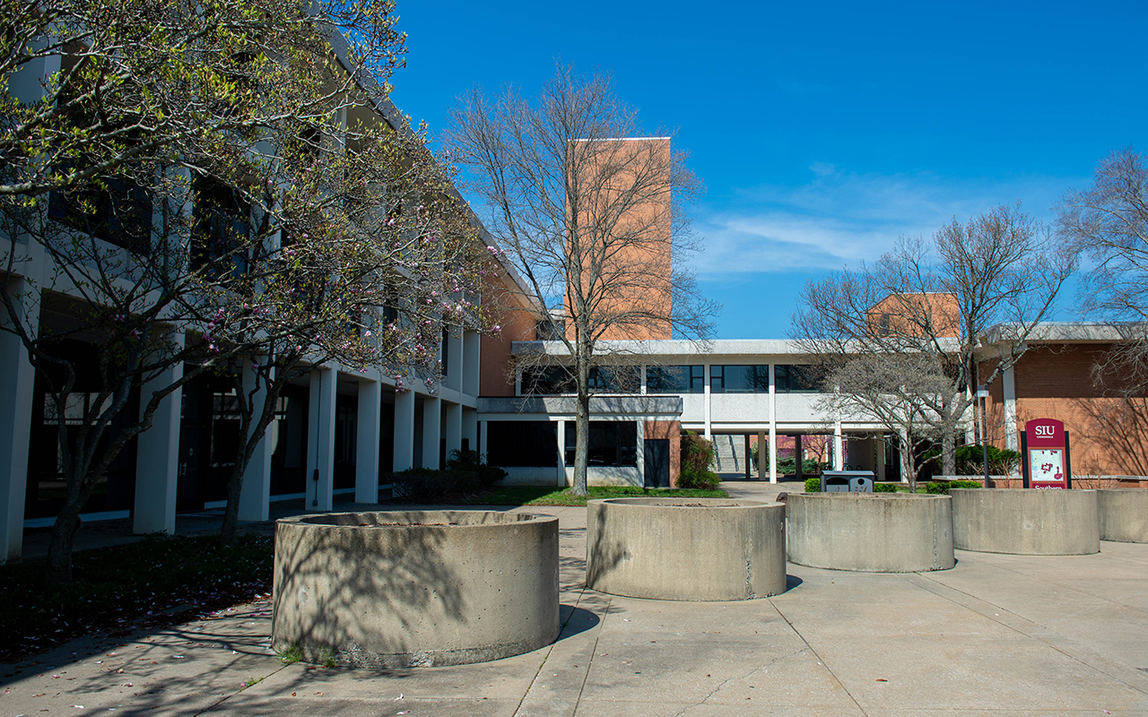 Professional Mentoring Program | College of Engineering, Computing, Technology, and Mathematics ...